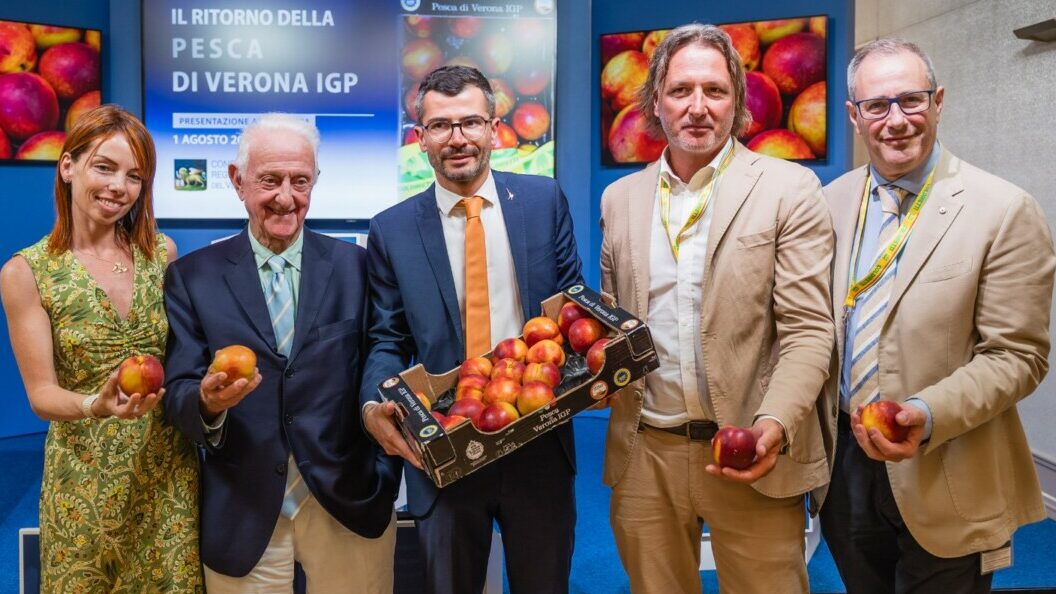 Il ritorno della pesca di Verona Igp - La Cronaca di Verona